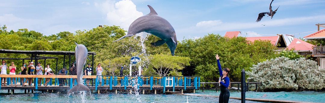 Aquarium (Oceanarium) in the Rosario Islands, Cartagena, Colombia ...