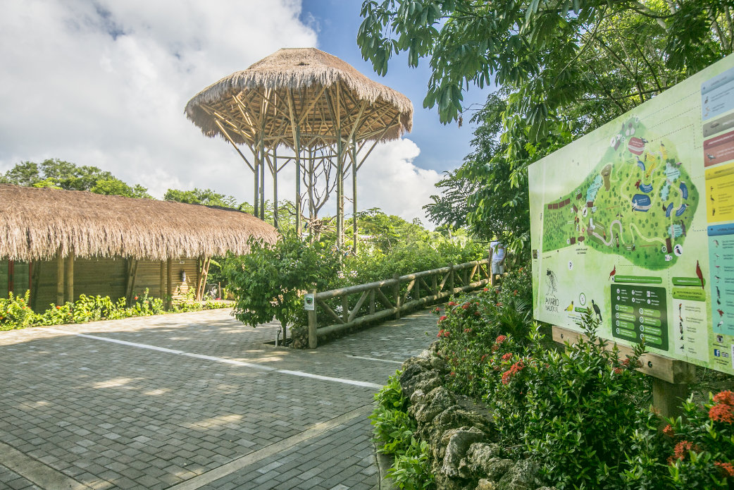 National Aviary of Colombia | Donde.co